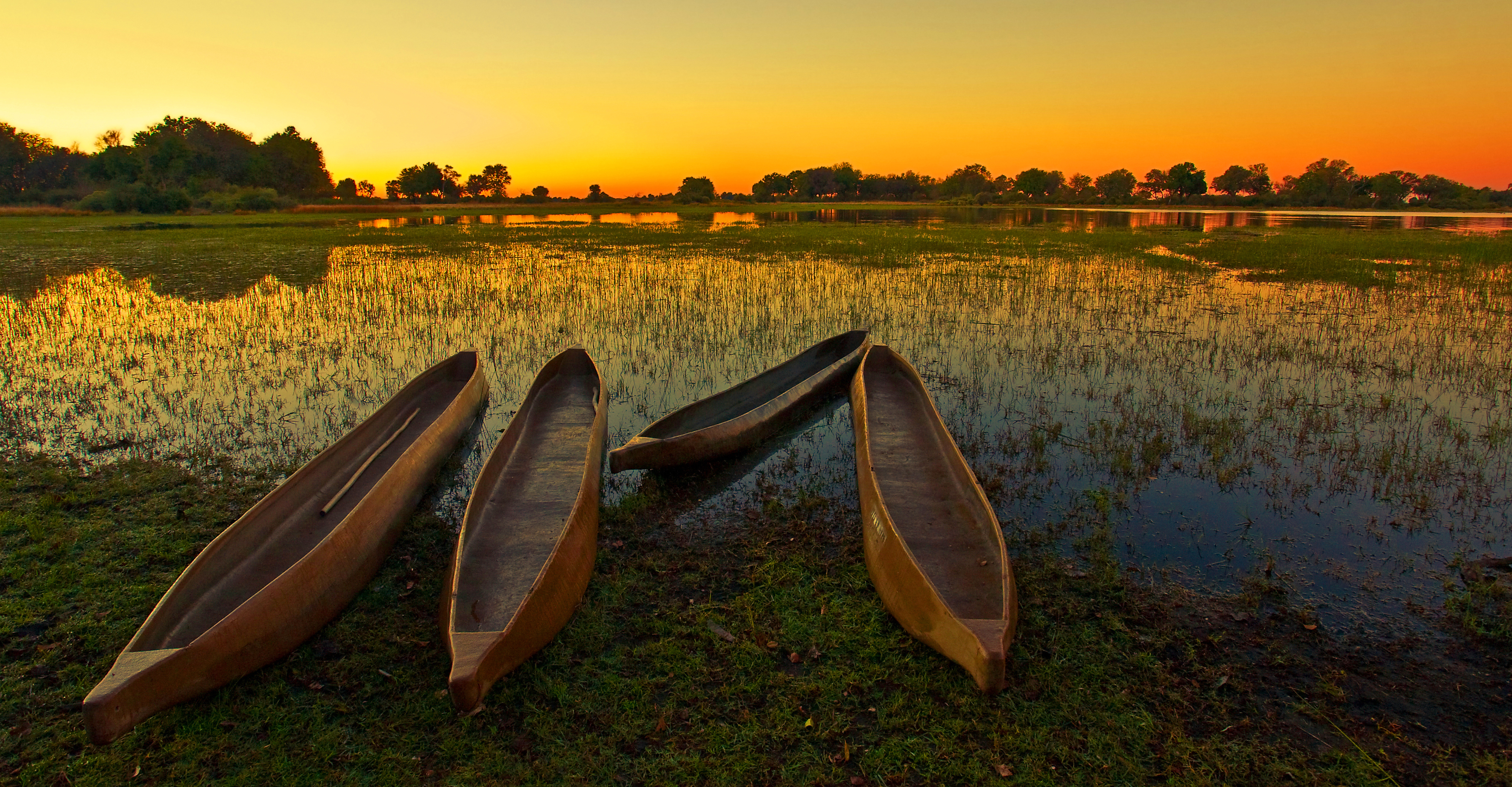 Rejser til Okavango-Deltaet i Botswana Ā» Se pris: Tembo Safariš Rejser til Okavango-Deltaet i Botswana Ā» Se pris: Tembo Safariš